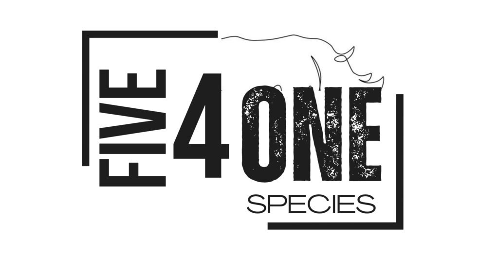 Five4One | Wayne Bolton